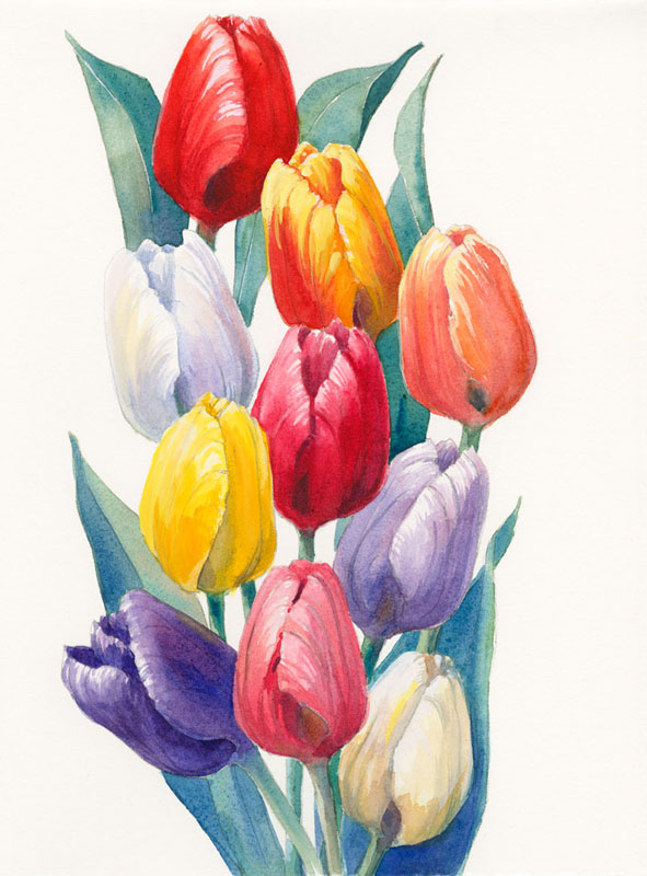Jennifer Bowman - Artist